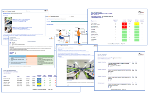 The World's Most Relied Upon Office Ergonomics Software – SmartErgo